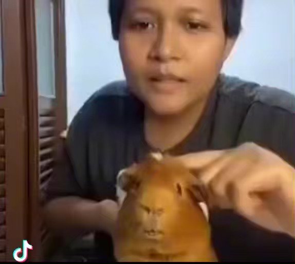 Creo que la cobaya también se ha asustado