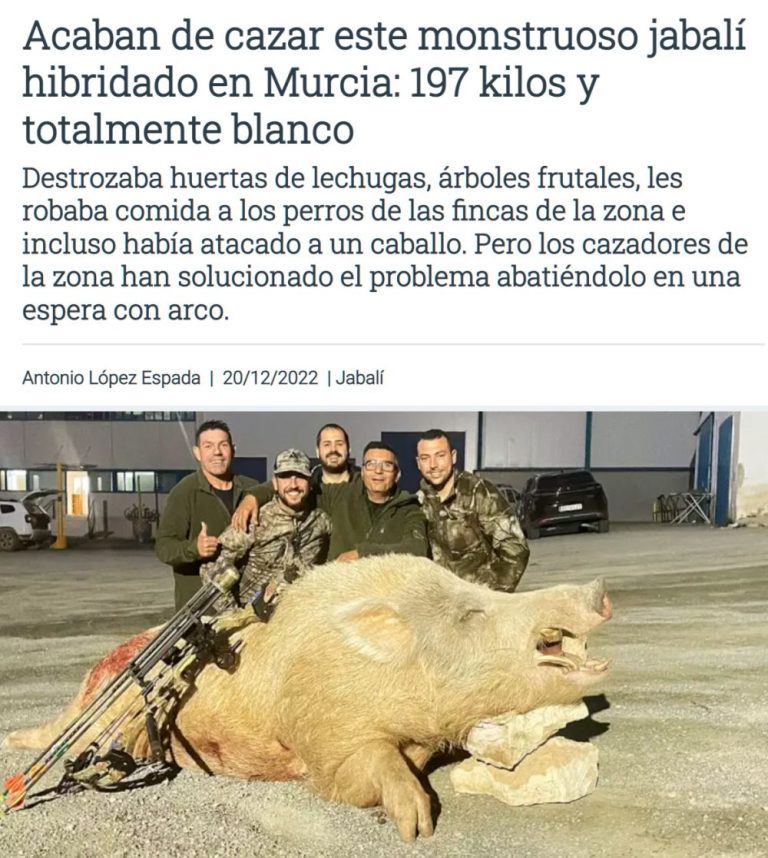 "Autodefensa" es un retrato del hembrismo maravilloso.